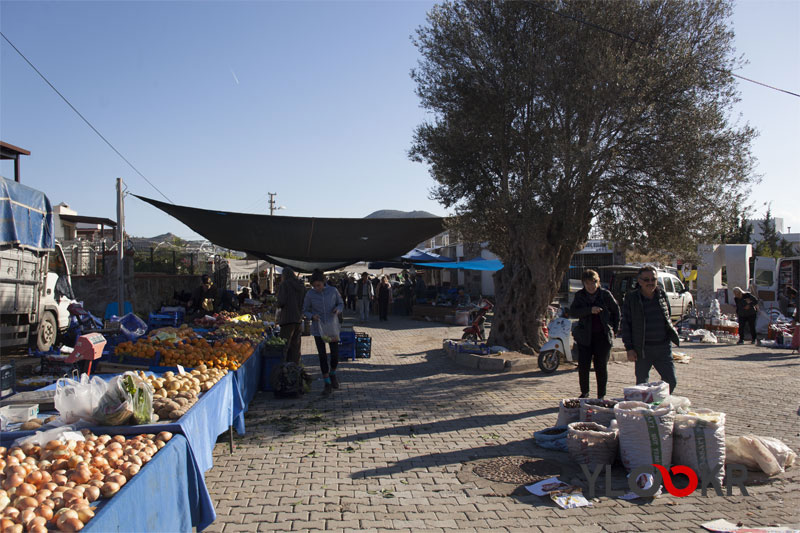 Bodrum Pazar Yerleri | Bodrum Pazarları